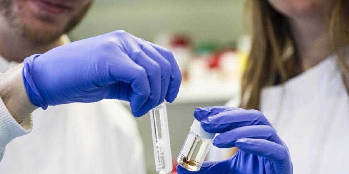 Scientists create antibiotic spider silk | ICT&health