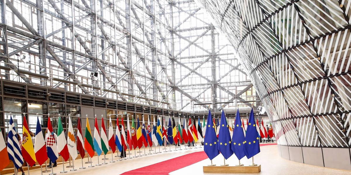 Leren van andere landen is een continu proces | ICT&health