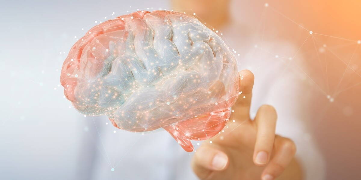 3D-printed brain model offers new insights into brain diseases | ICT ...
