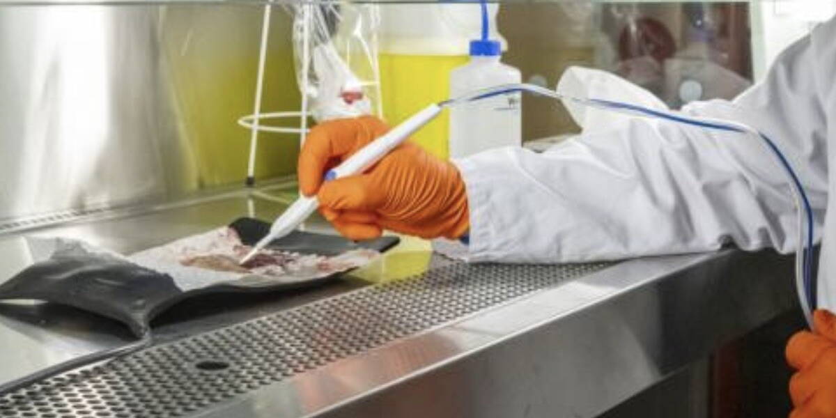 Development of smart surgical knife for brain surgeons | ICT&health Global