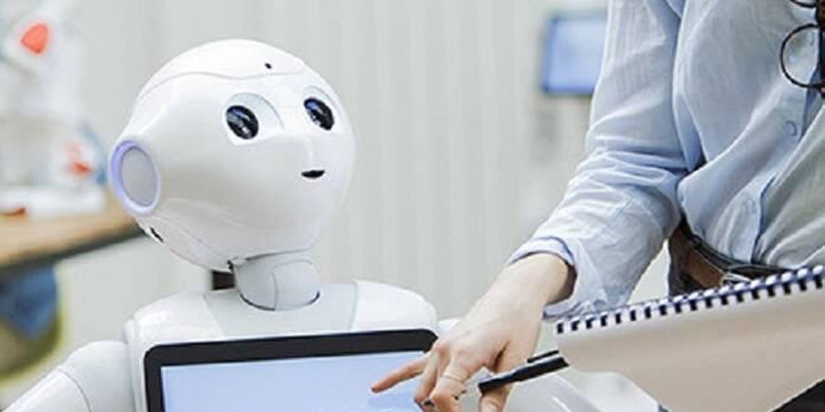 Inzet digital twins kan gebruik sociale robot in zorg verbreden | ICT ...