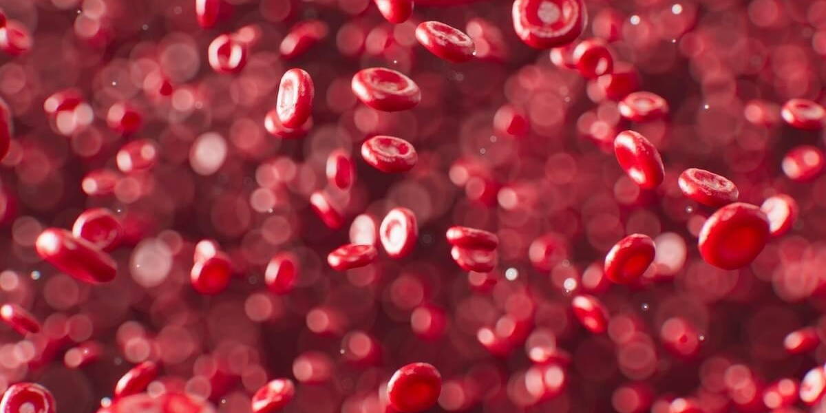 Nieuwe test spoort teruggekeerde bloedkanker sneller op | ICT&health