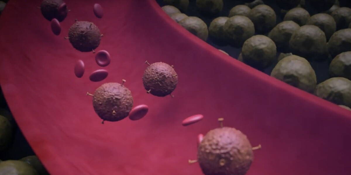 Nieuwe technologie spoort op grote schaal T-cellen op | ICT&health