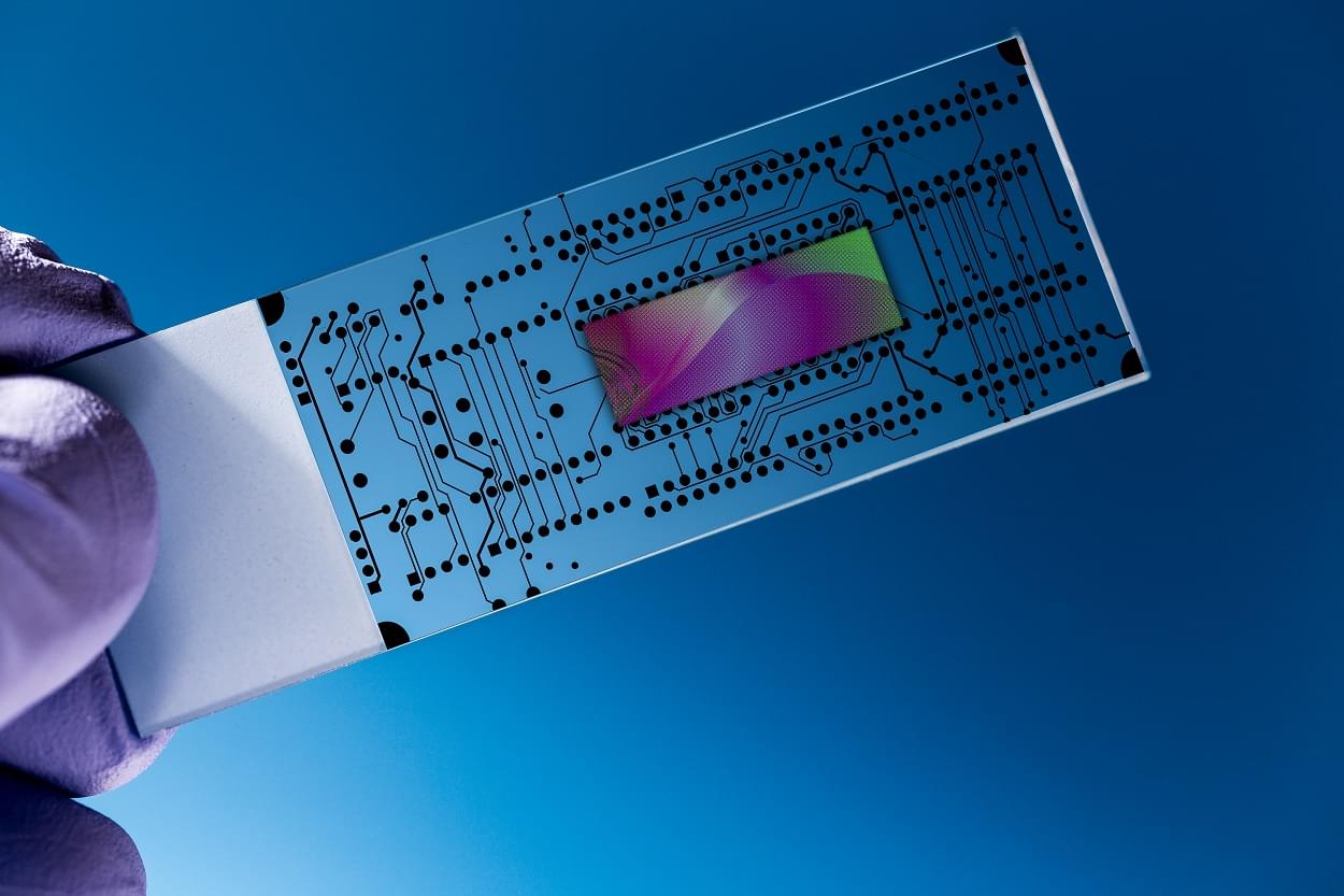 UT-onderzoeker ontwikkelt heart-on-a-chip - ICT&health | Het officiële ...