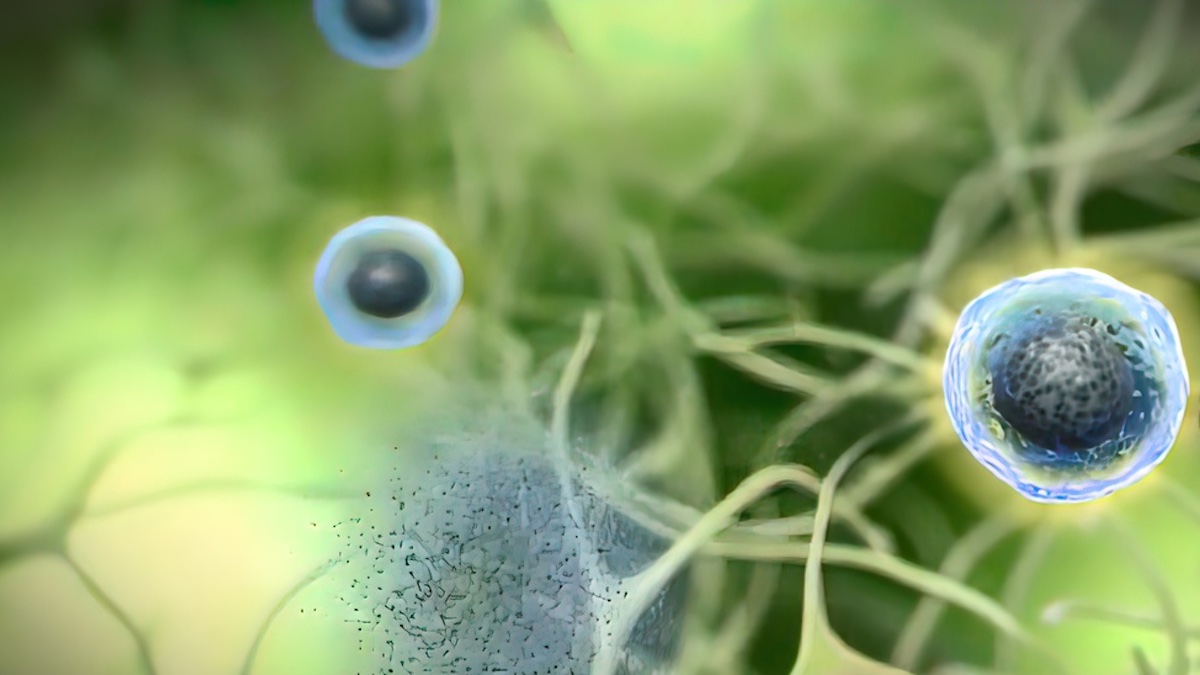 LUMC versnelt ontwikkeling CAR-T-celtherapie in eigen lab - ICT&health ...